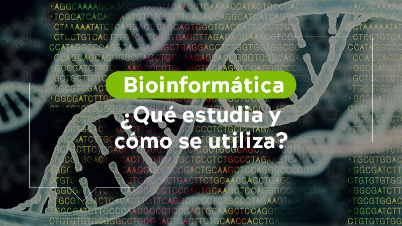 Bioinformática: ¿Qué estudia y cómo se utiliza?