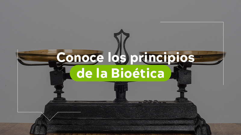 Conoce los principios de la Bioética | Universidad El Bosque
